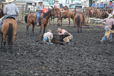 Grandstand - Clay County Fair